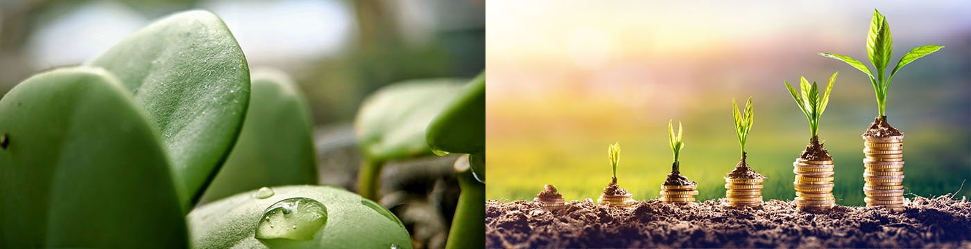 Preserving profitability through energy efficiency | Arvesta | Deloitte ...