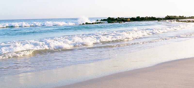 Choose your impact at Deloitte Bahamas